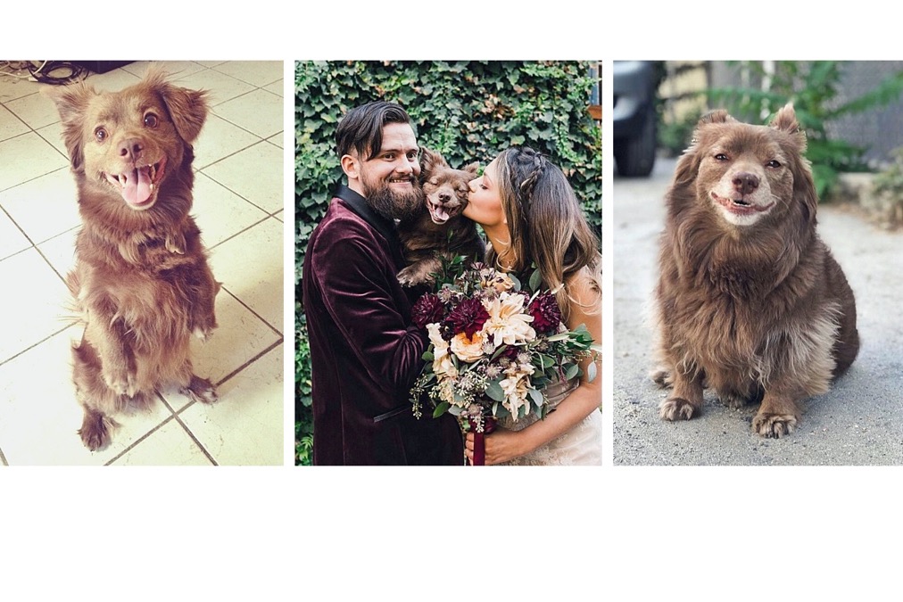 Fundraiser for Anthony Reeder by Cierra Noelle Reeder : Help Wall-E ...