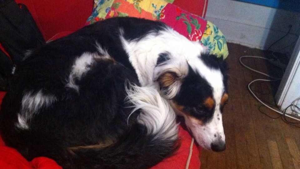 Fundraiser for Benjamin Callan by Leslie Thompson Jenkins Hatfield ...