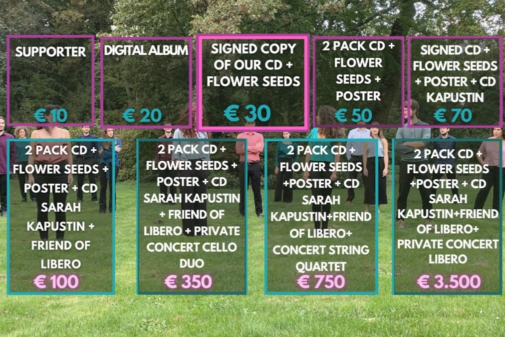 Fundraiser by Libero Strijkorkest : SEASONS: Our first CD release with ...