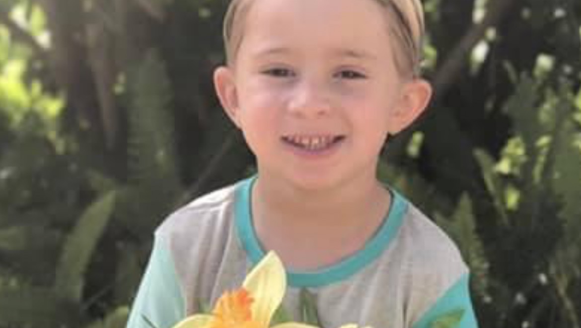 Fundraiser for Ali Kessler by Sydney McLane : Remembering Grey