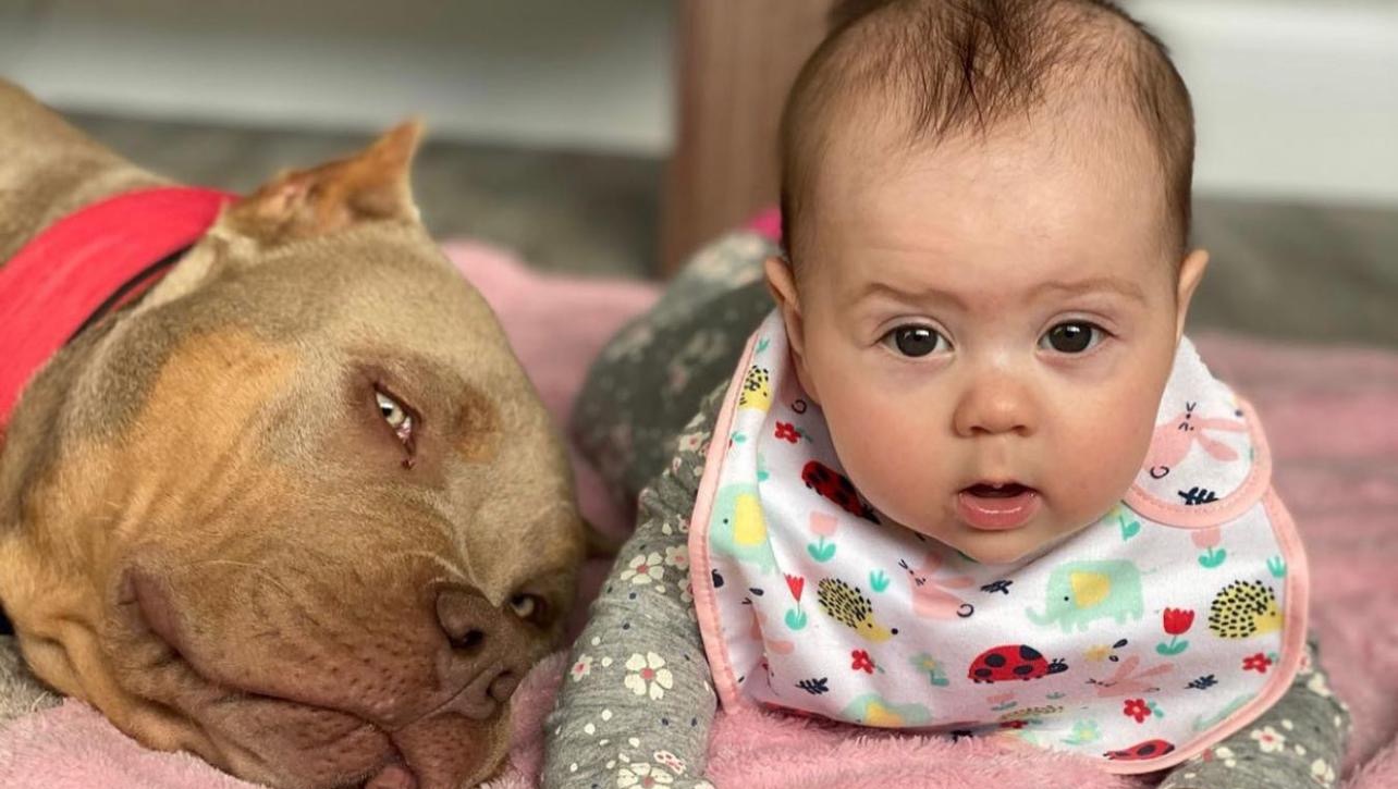 Fundraiser for Dylan O Connor by Lisa Kinch : Help Dylan get his ...