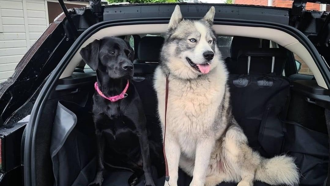 Fundraiser for Stephanie Hatton by Debbie McAulay : Help Steph rebuild ...