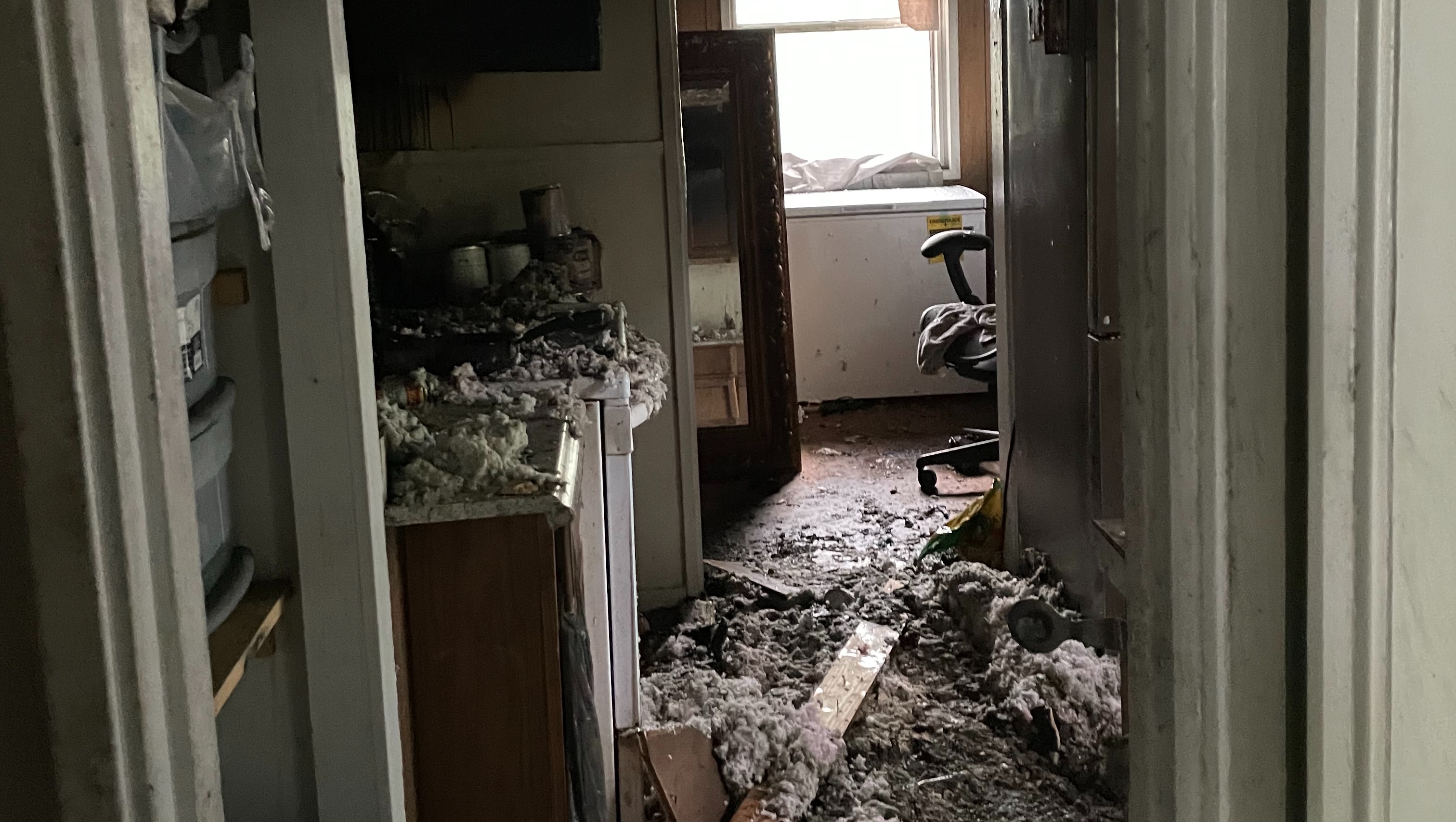 Fundraiser by Alexis Swanson : Help Alexis and her 2 kids with anything