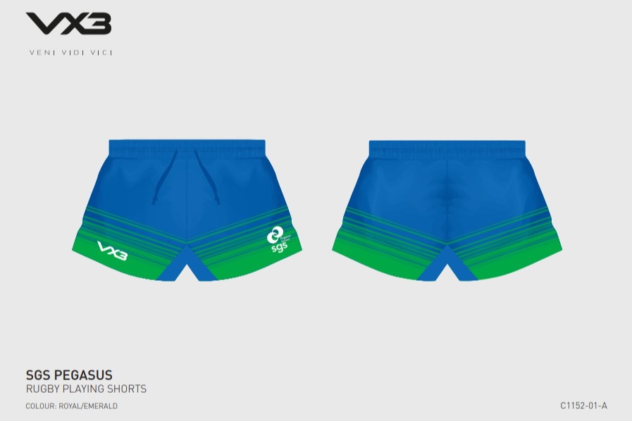 Fundraiser for Olivia Saunders by SGS Pegasus : SGS Pegasus School ...