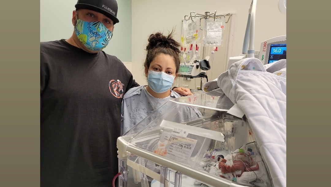 Fundraiser for Missagh Rajaei by Nani Serrao : Ziva's Journey Home