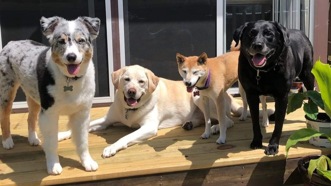 Fundraiser for Anthony Hoffman by Sarah Welter : Tony and Rachel House ...