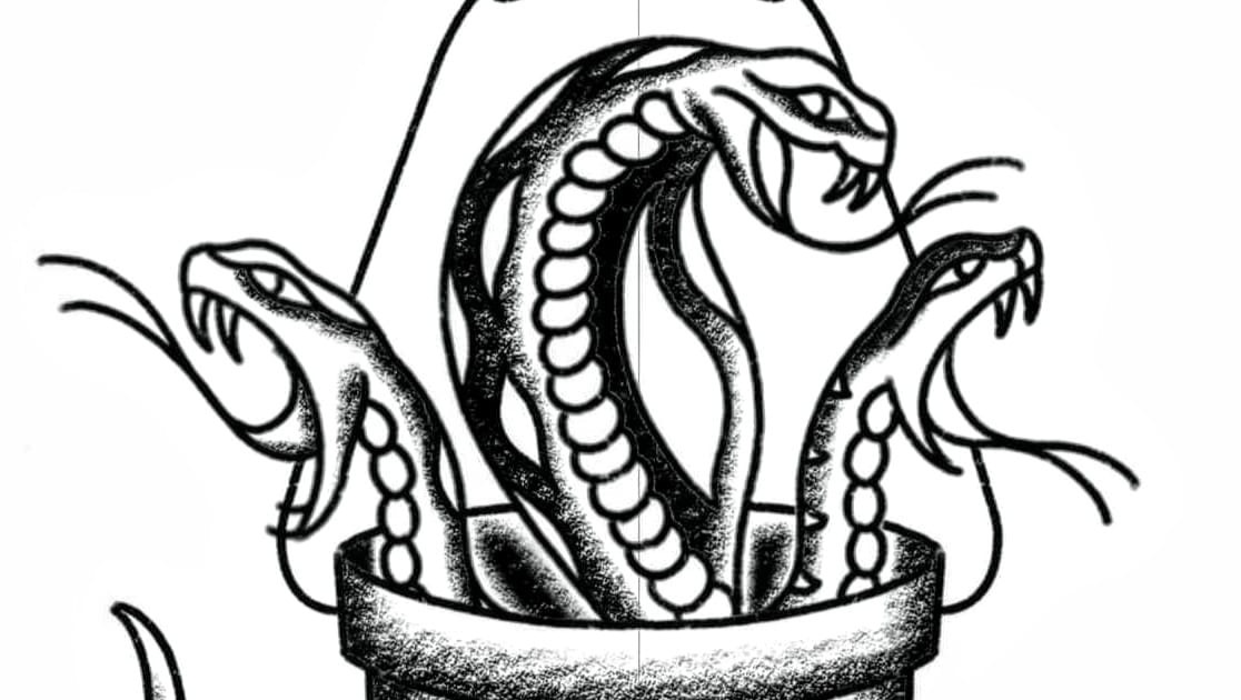 Fundraiser by Daniel Barkman : Bucket Of Snakes Epic Vinyl Release!