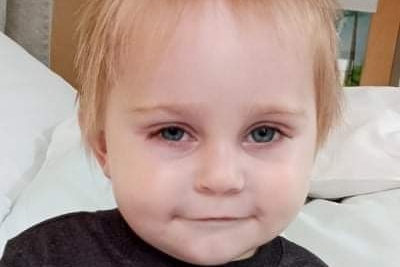 Fundraiser for Rachel Ribble by Lee Muller : Donate for Dexter