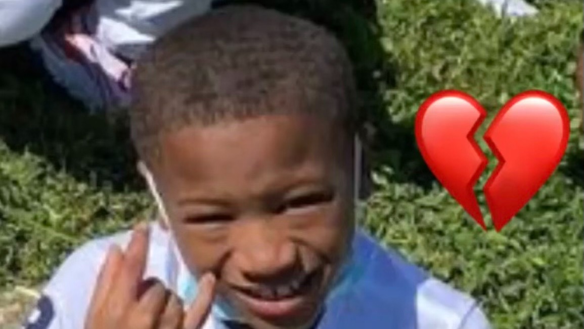 Fundraiser by Lenore Heron : Help bring Wyleek home