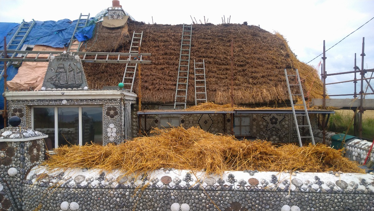 Fundraiser for Catherine Parle by Robbie Parle : Help Restore The Shell ...