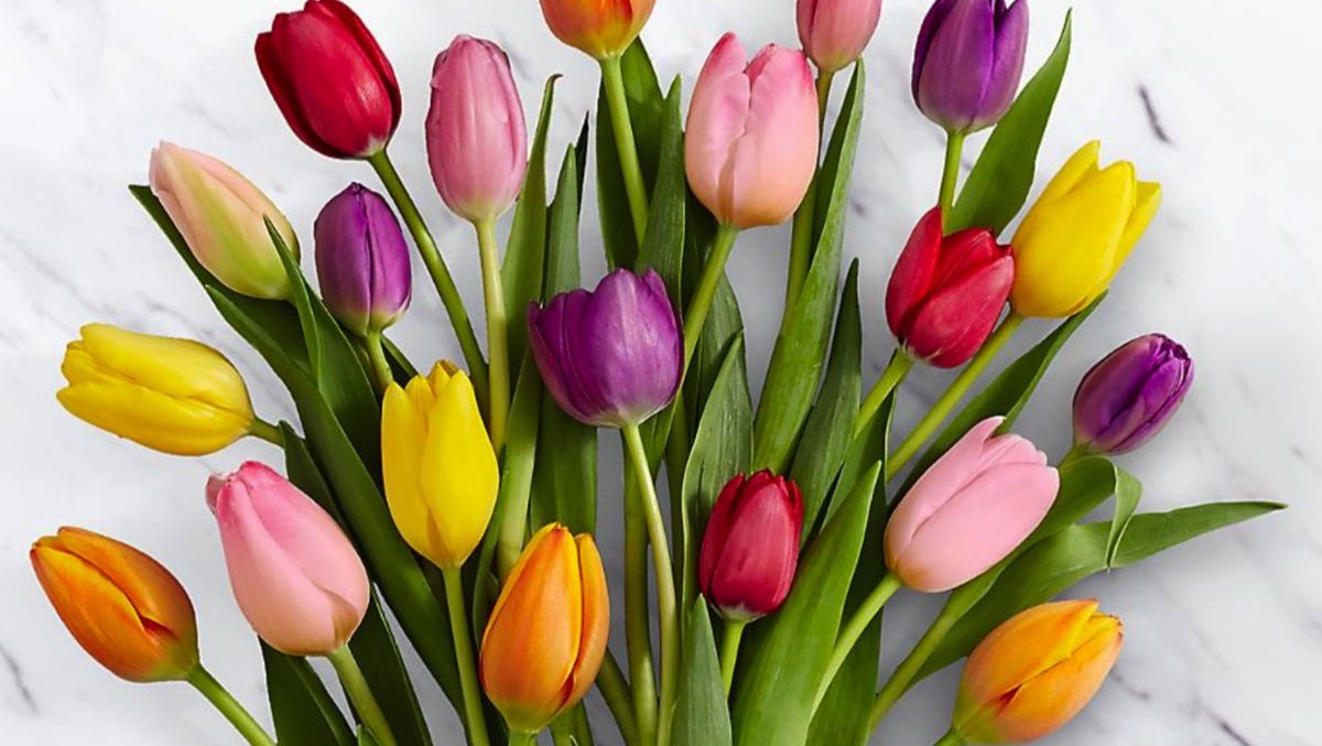 Fundraiser for Jaimee Ramirez by Samuel Choulet : Barbara Gonzales ...