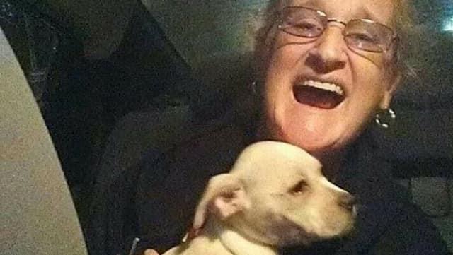 Fundraiser for Sandra McGarry by Shelby Palazzo : Help Lay Paula ...