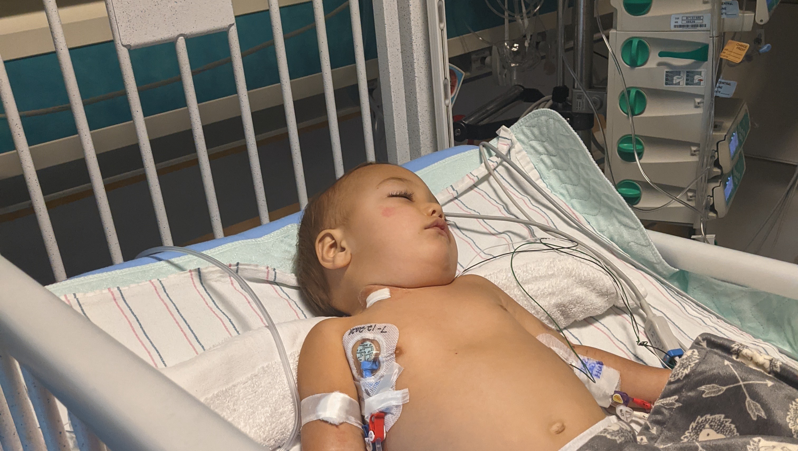 Fundraiser for Julie Harmening by Catherine Canto : Help harmening family