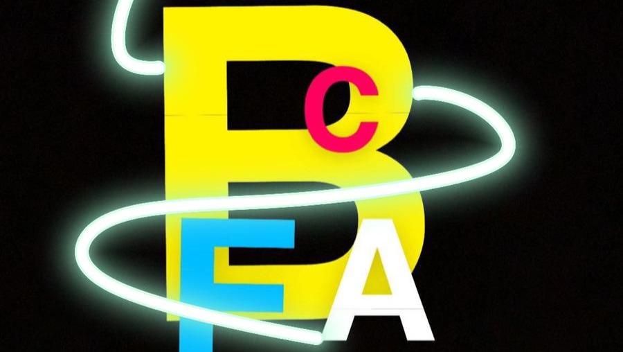 Fundraiser for Ali Steeds by BFCA Awareness : Raise Money for BFCA