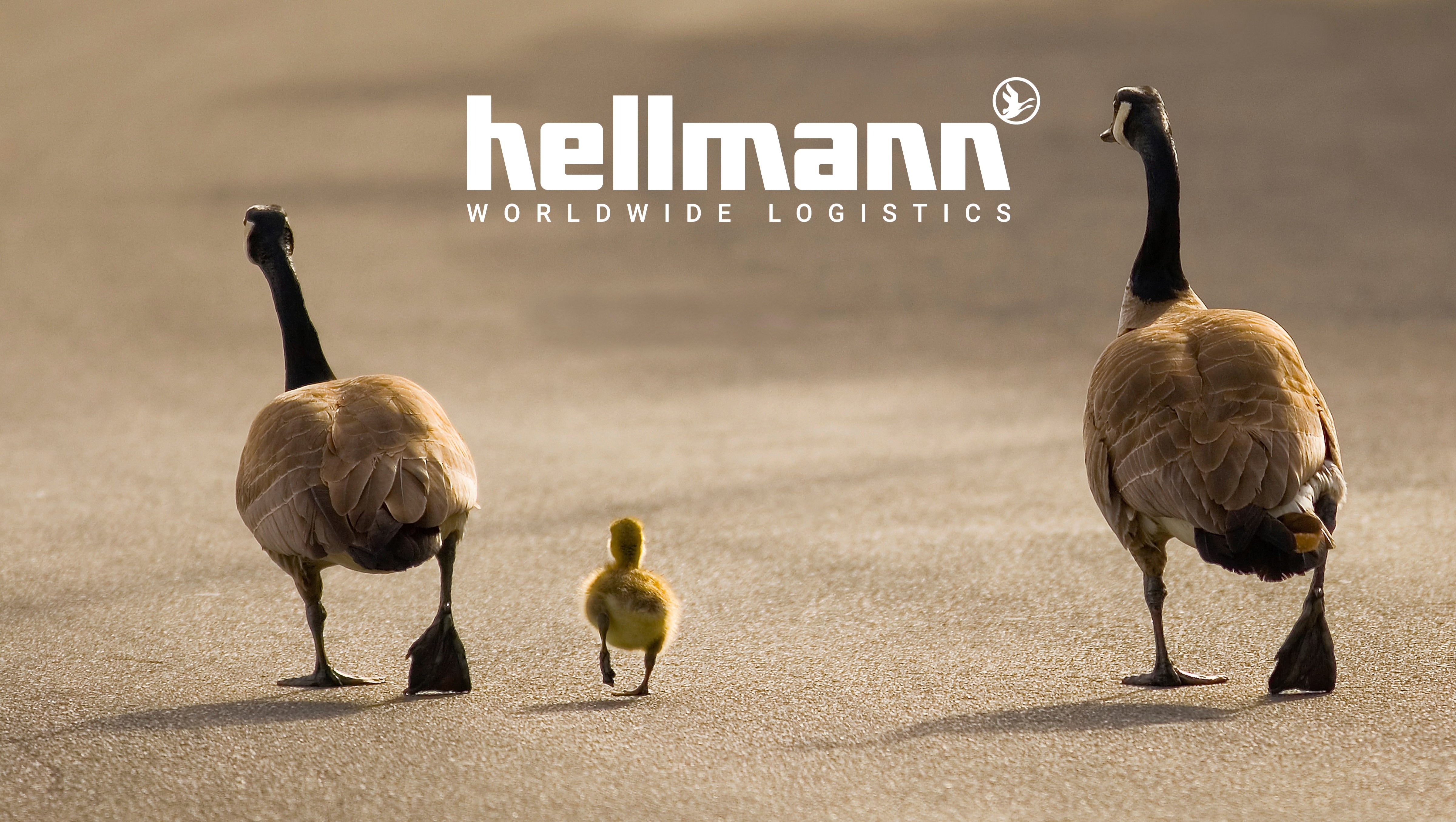 Fundraiser for Ruth Scheuvens by Sven Eisfeld : Die Hellmann FAMILY ...