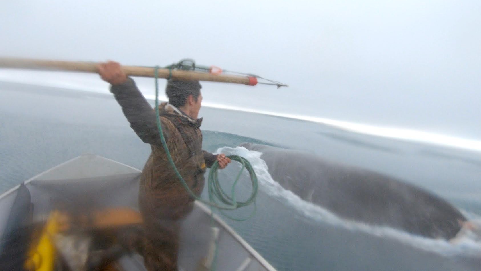 Fundraiser for One With The Whale The Film and Impact by Alexis Rexford ...