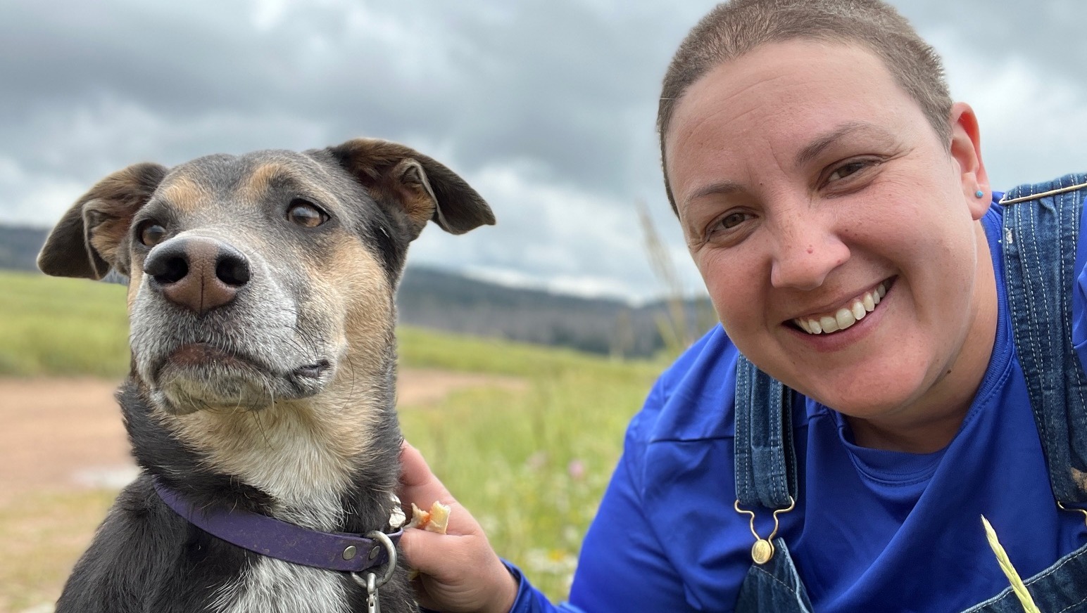 Fundraiser by Libby Meyer : Startup for Superhero Dog Academy headquarters