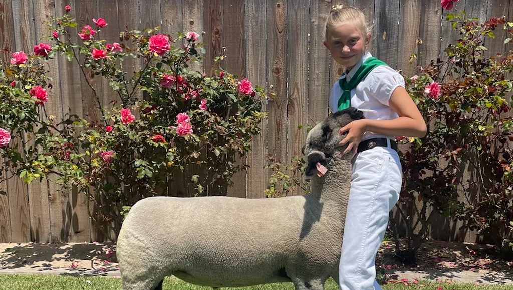 Fundraiser for Rosemary Cummings by Travis Hagen : Cari Rose Cummings Lamb