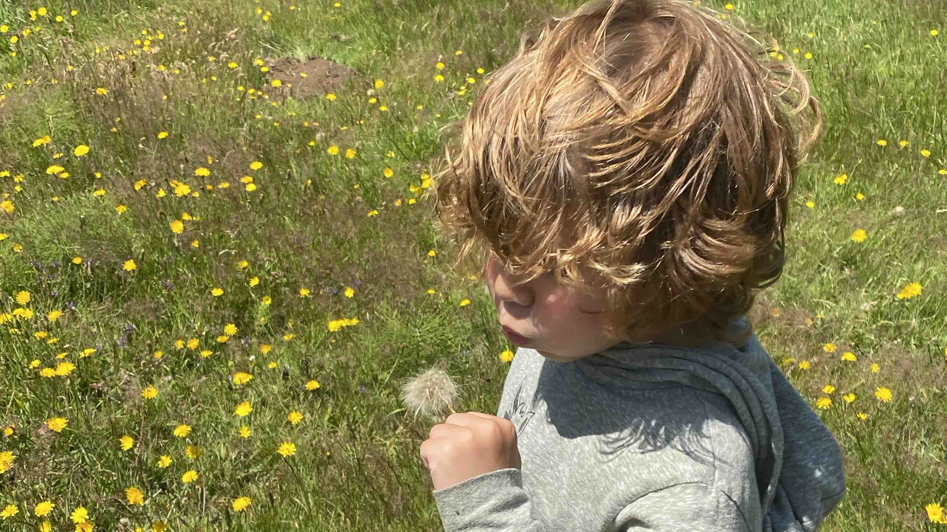 Fundraiser by Amber Gorman : Mason’s Stem Cell Journey