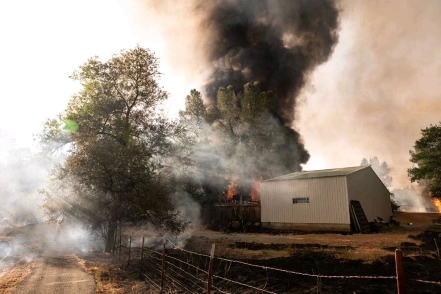 Fundraiser for Mike Goetze by Stephanie Yau : Help the Goetze Fam ...