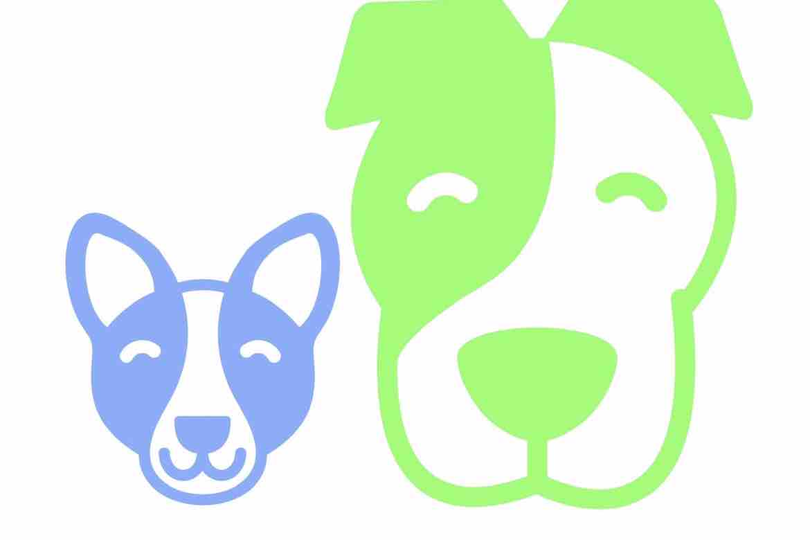 Fundraiser by Eli Montero : Help Acapulco Dog Rescue save stray dogs