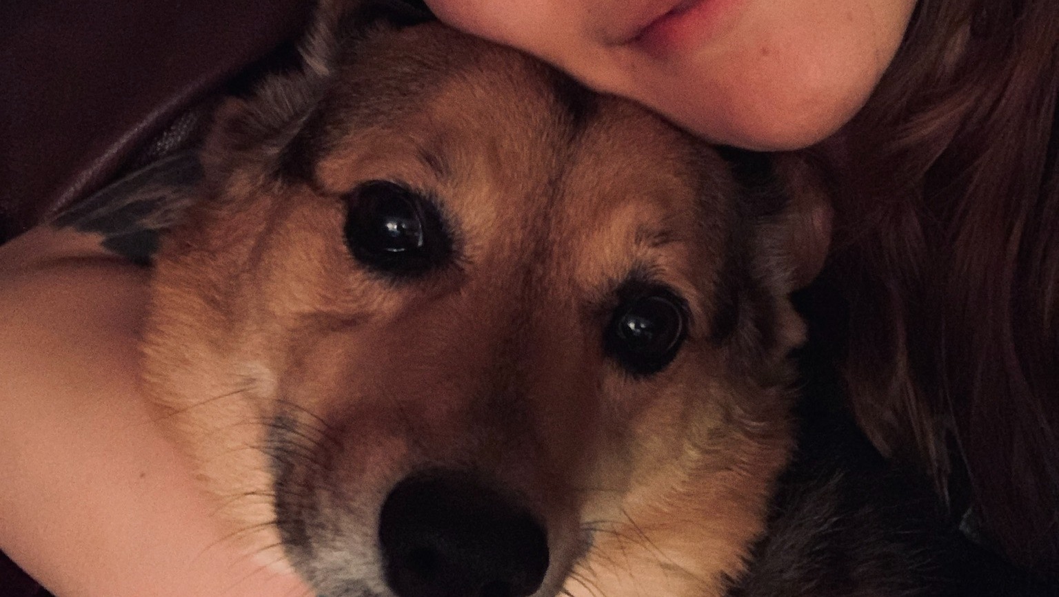 Fundraiser for Jade Rudd by Kay Beyers : Help Jade with Zilla's Chemo ...