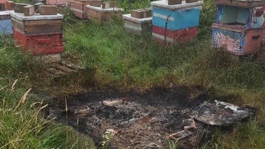 Fundraiser by Steven Mayfield : Help Mariusz rebuild his bee hives