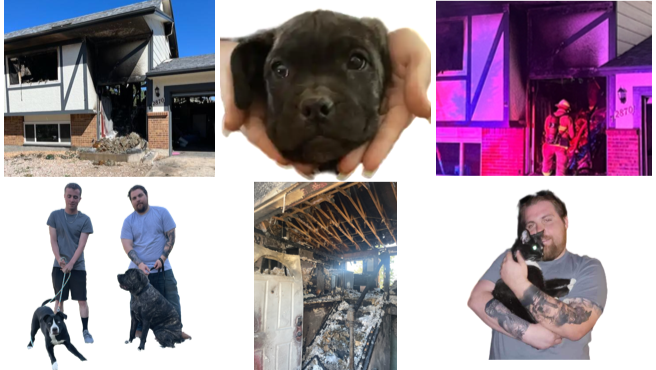 Fundraiser for Timothy Dunn by Denicia Conley : Help Ty, Liam, Critter ...