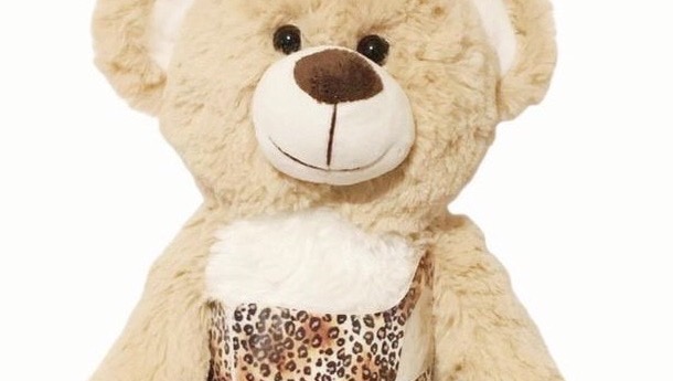 Fundraiser for Elisabeth Van Wijk by Lucy Flynn : Higgy Bears for ...