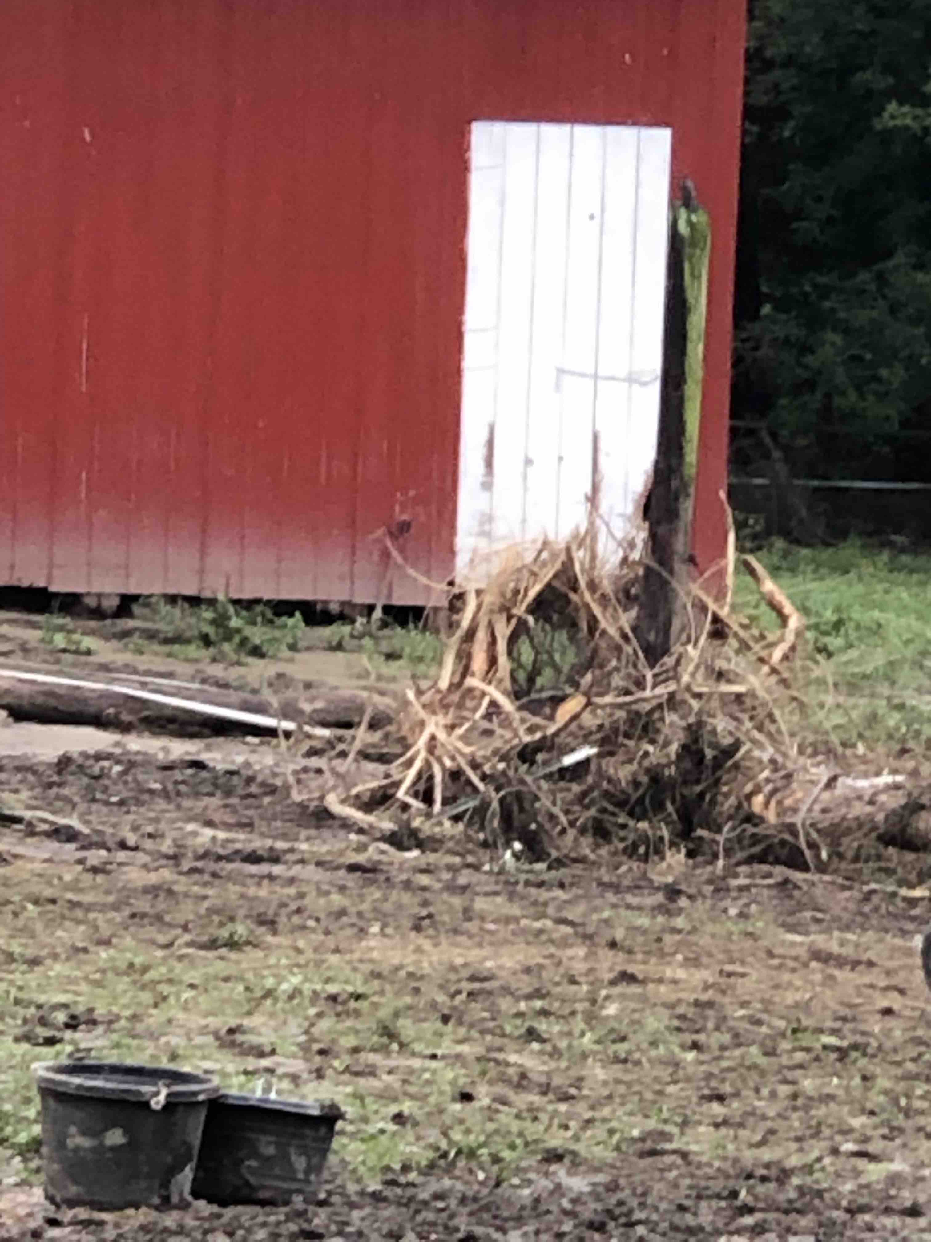 Fundraiser by Ronald Houghtaling : Help me repair the barn and fences ...