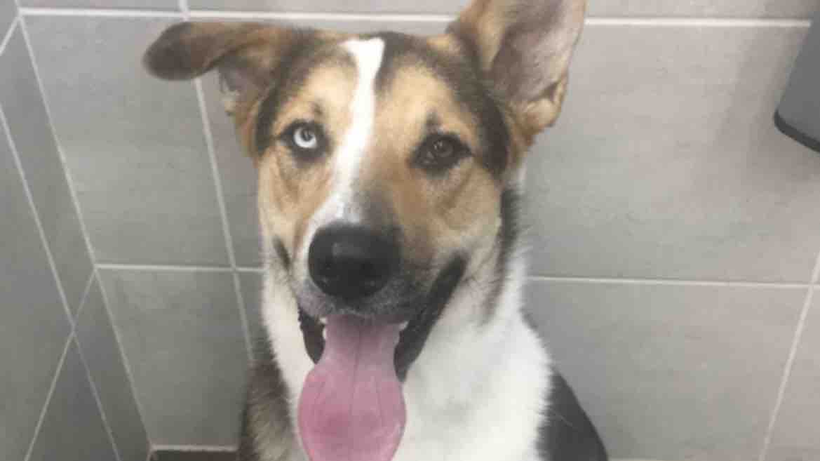 Fundraiser for Damion Viscaino by Kaylie Rodriguez : Reggie’s Recovery ...