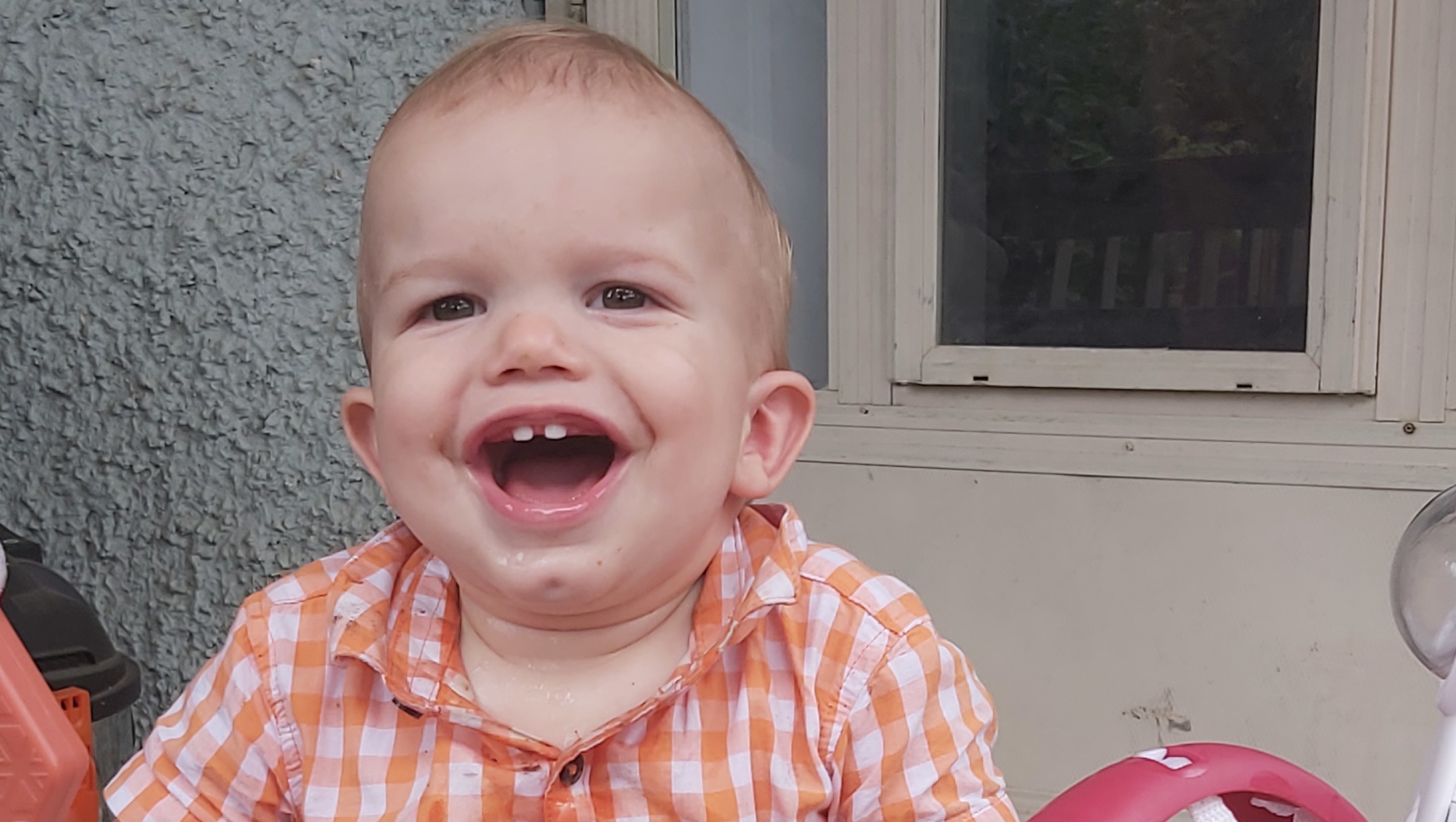 Fundraiser by Christina Elizabeth Allison : Help bring Ryerson home