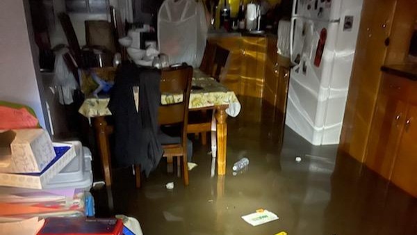 Fundraiser for Patricia Fanelli by Kelly Cullen : Help the Fanelli Family