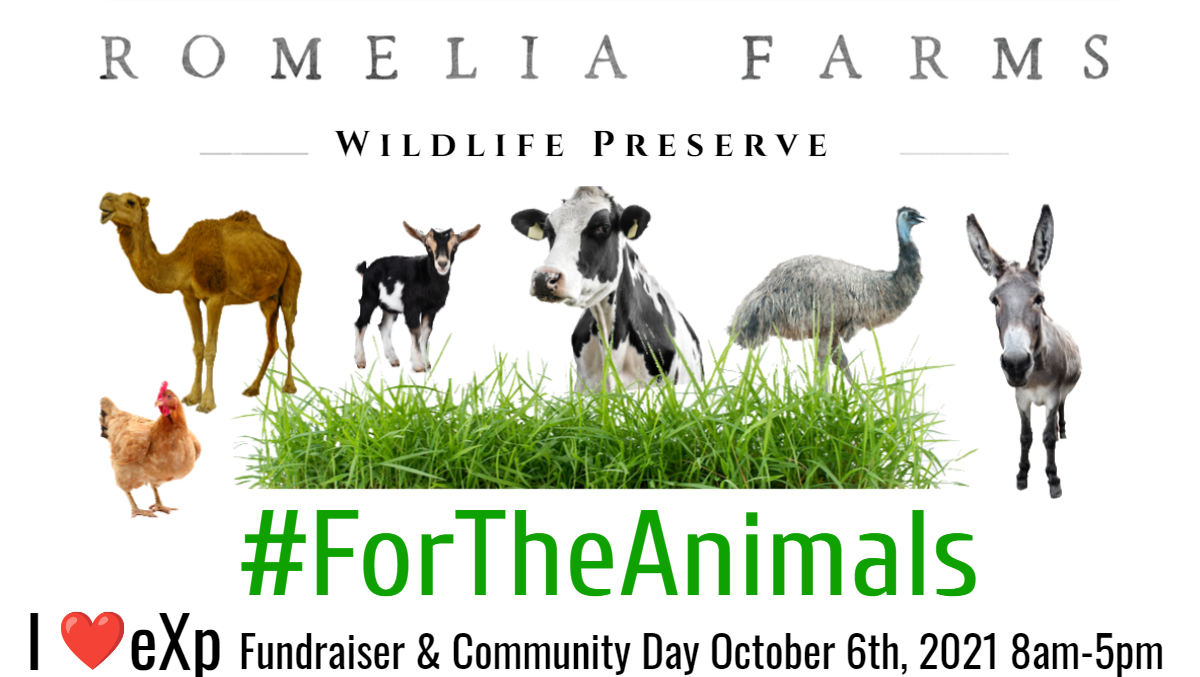 Fundraiser by Romelia Farms : We Rebuild Together #ForTheAnimals ...