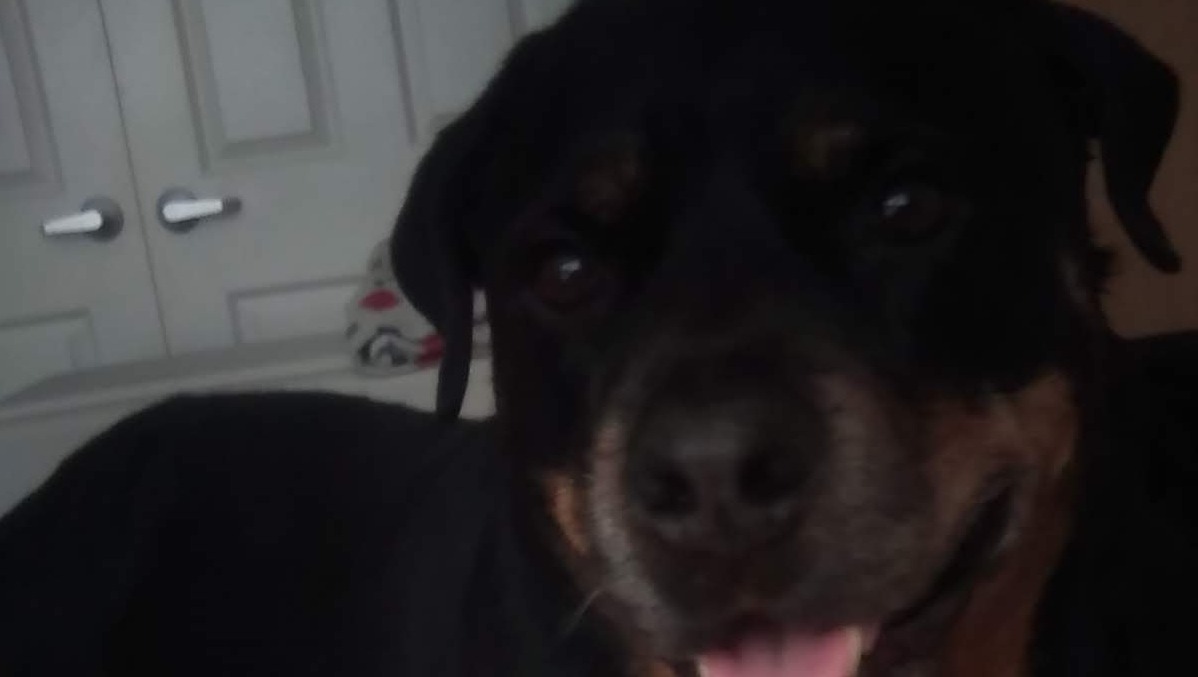 Fundraiser by Hazel Sanders : Jurnee's Surgery