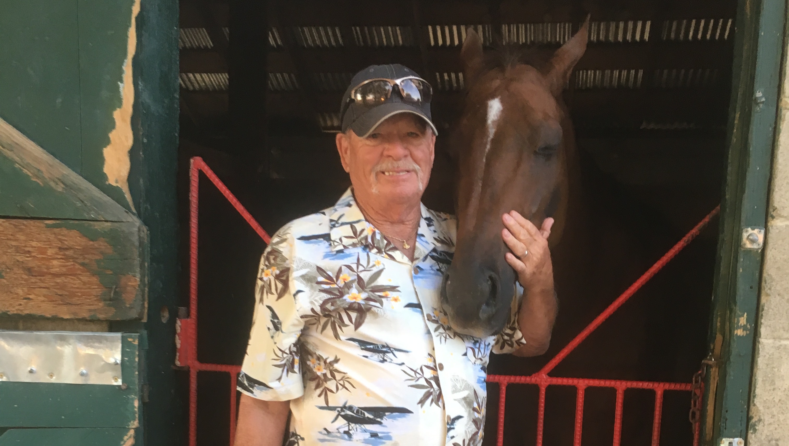 Fundraiser by Lee Rix Gurr : Help Dennis Go Home!