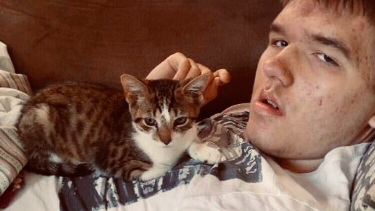 Fundraiser by Marcy Weeks Ewell : Cody’s Kitty Care Program