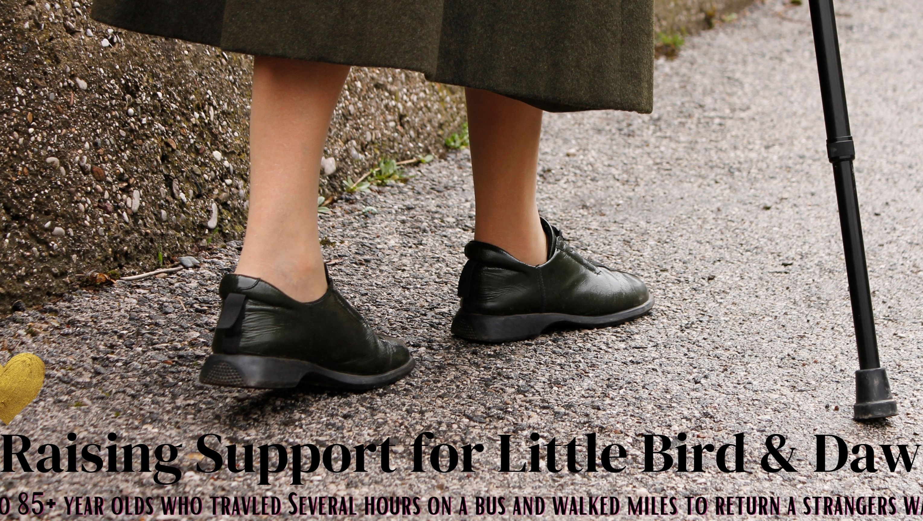 Fundraiser by Chrysandra Brunson : Raising support for Two 85 year old ...