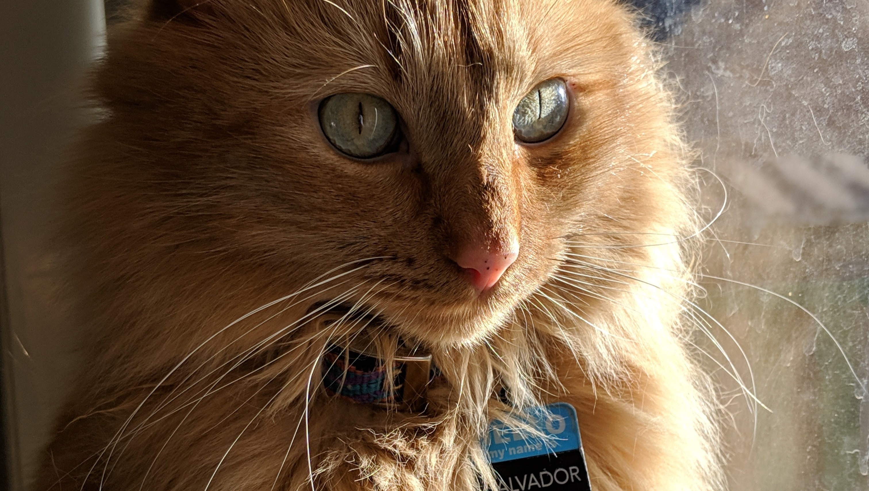 Campanha de arrecadação de fundos para Joshua Richey por Amy Brandley ...