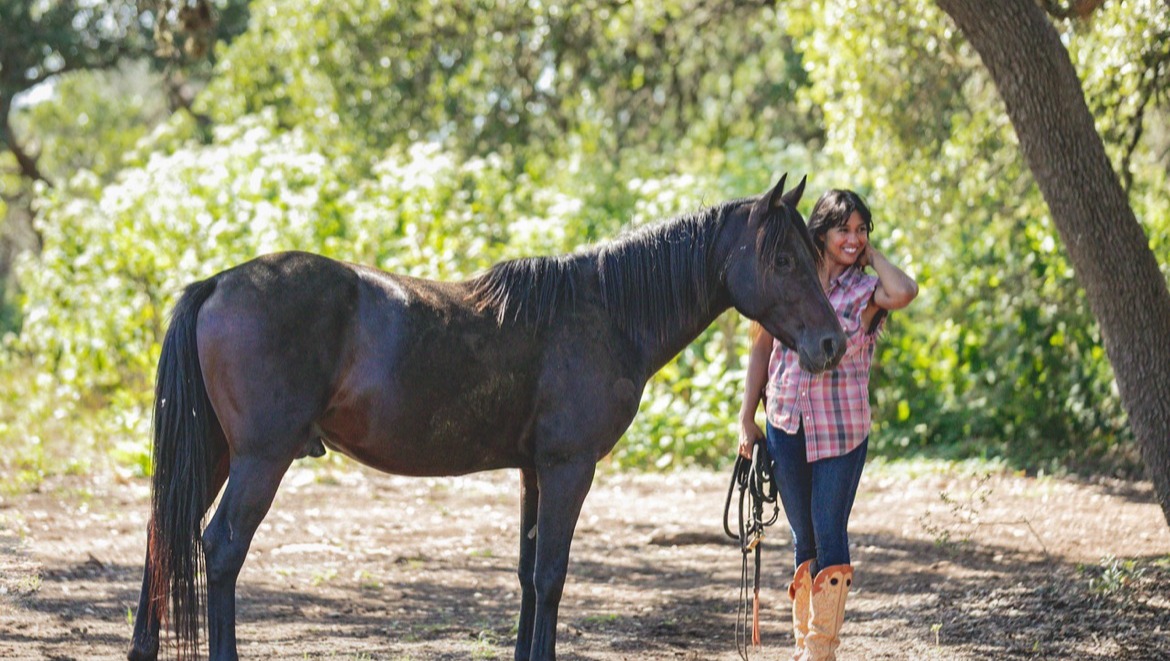 Fundraiser by Camille Carson : Rehab and Rehome our most Neglected Horses