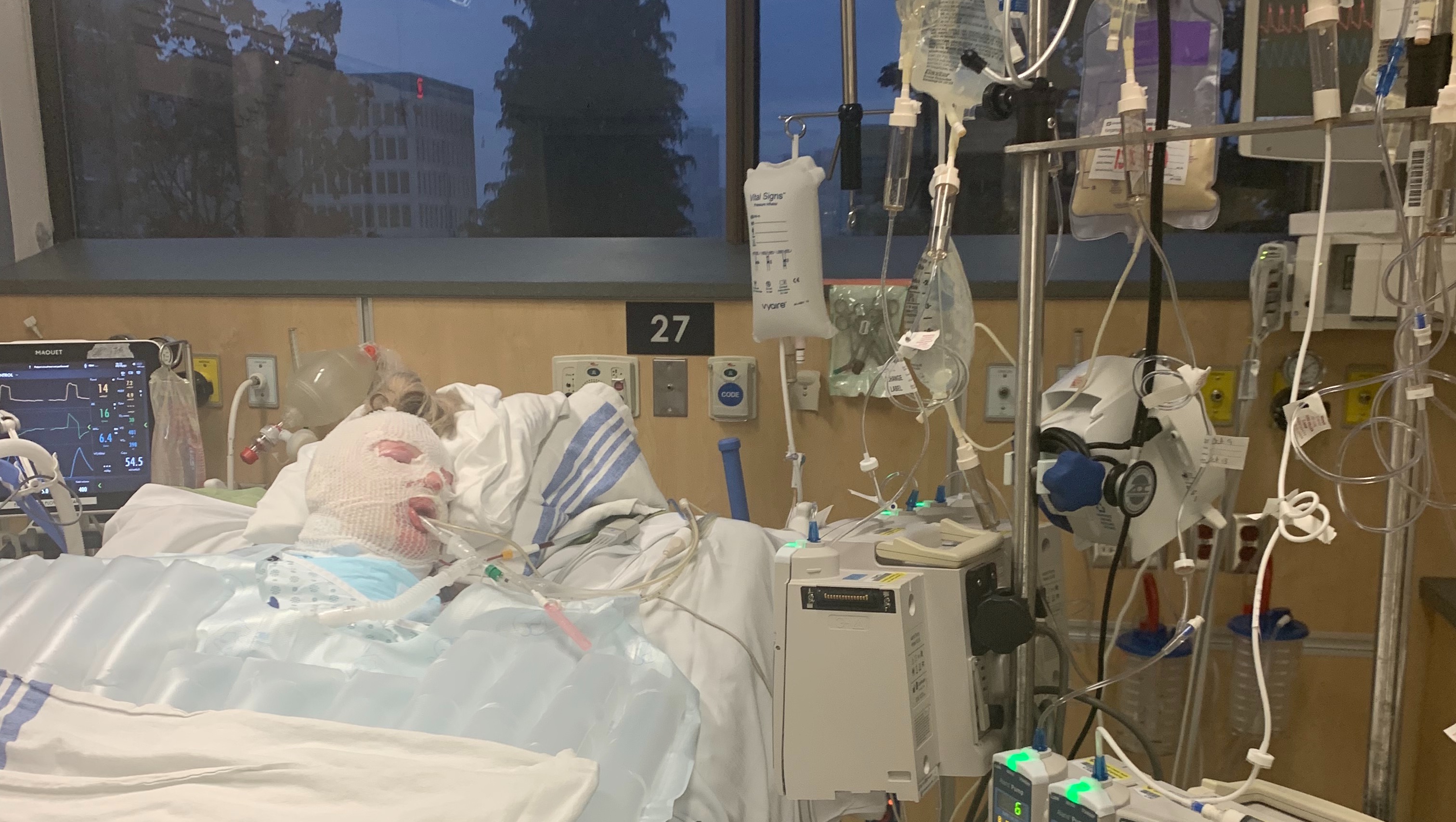 Fundraiser for Terri Schofield by Haylee Harper : Help Alexis Heal