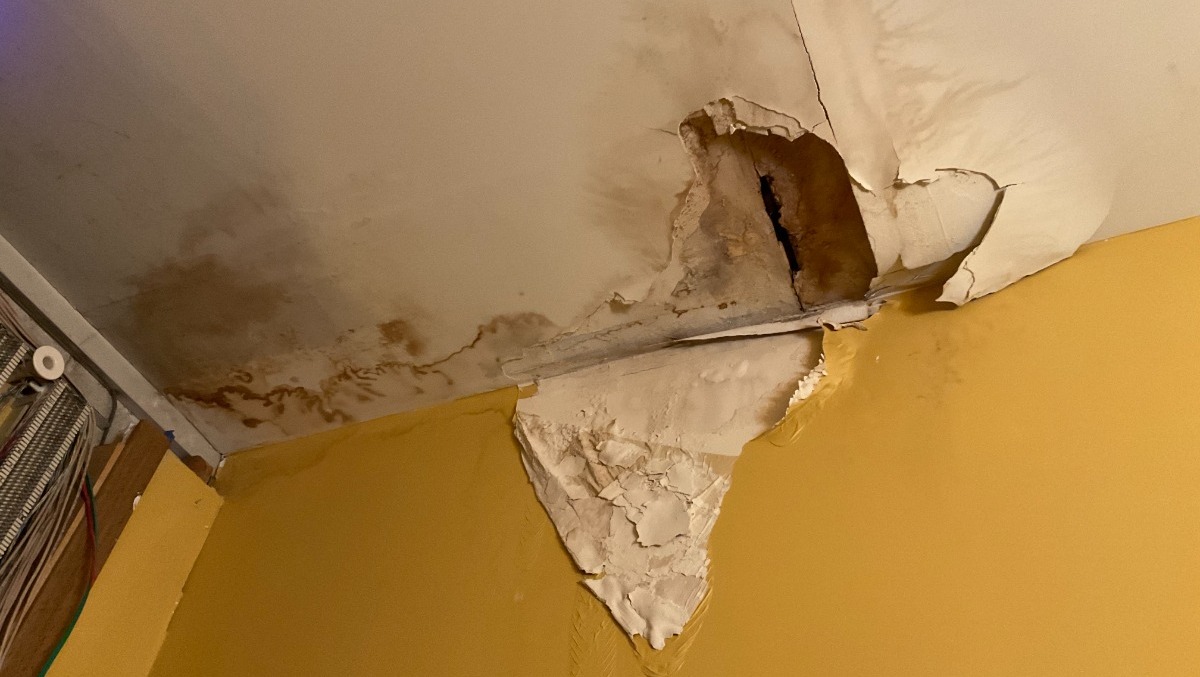 Fundraiser by Paula Spaulding : Raise the Roof for The Boise Hive