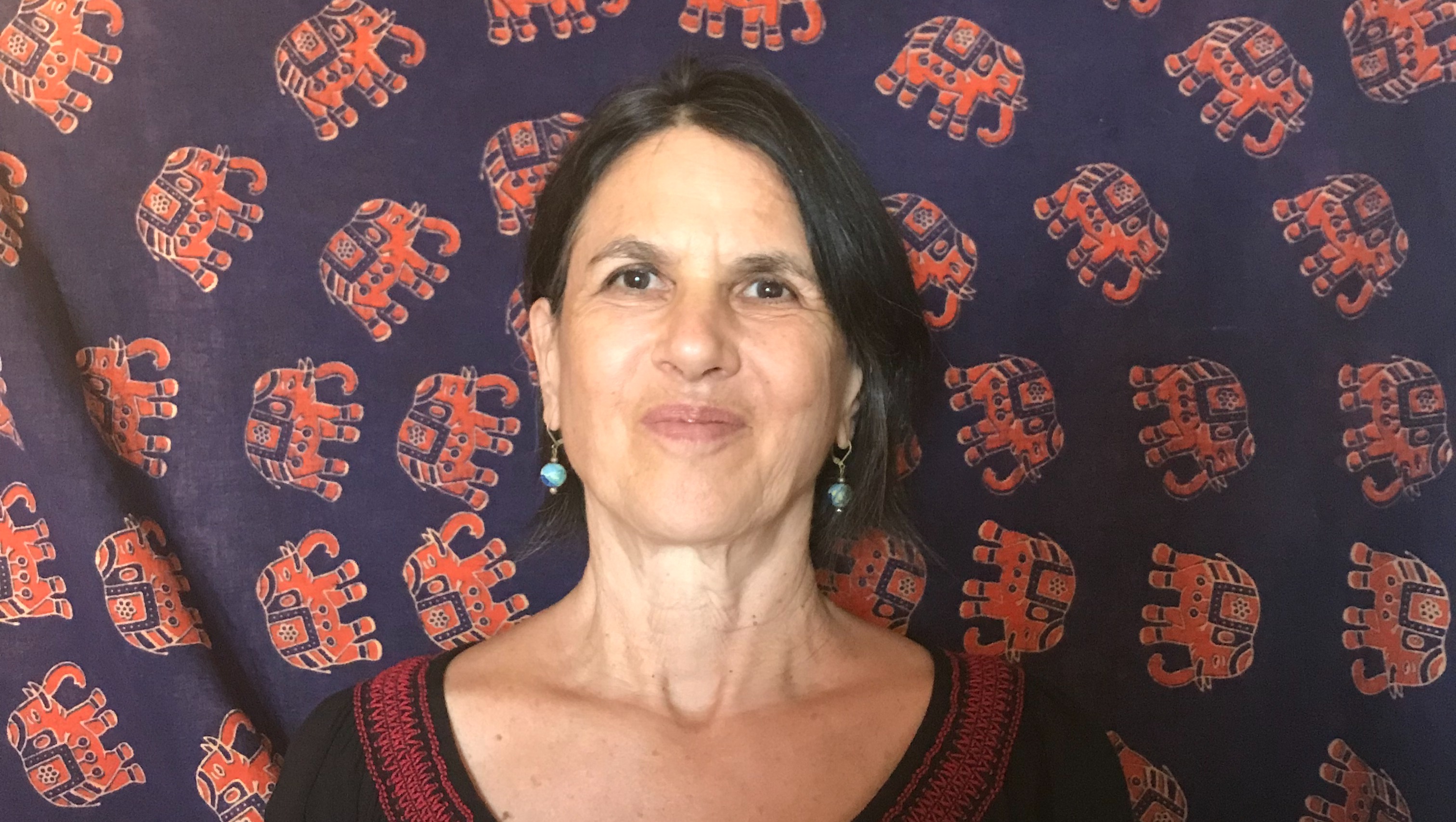 Fundraiser for Lisa Savin by Michael Uebele : Help Lisa Fight Cancer