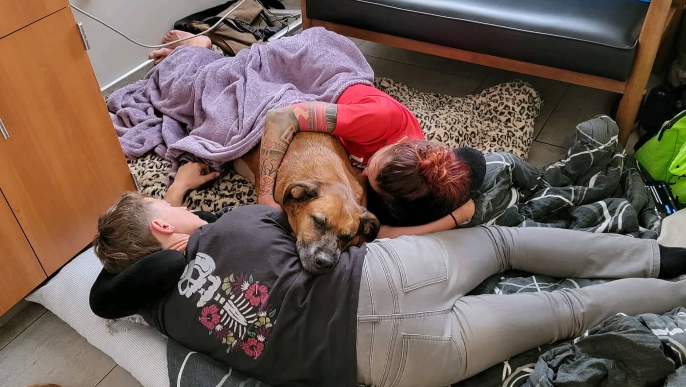 Fundraiser by Jamie Keyes : Bentley's Life Saving Surgery