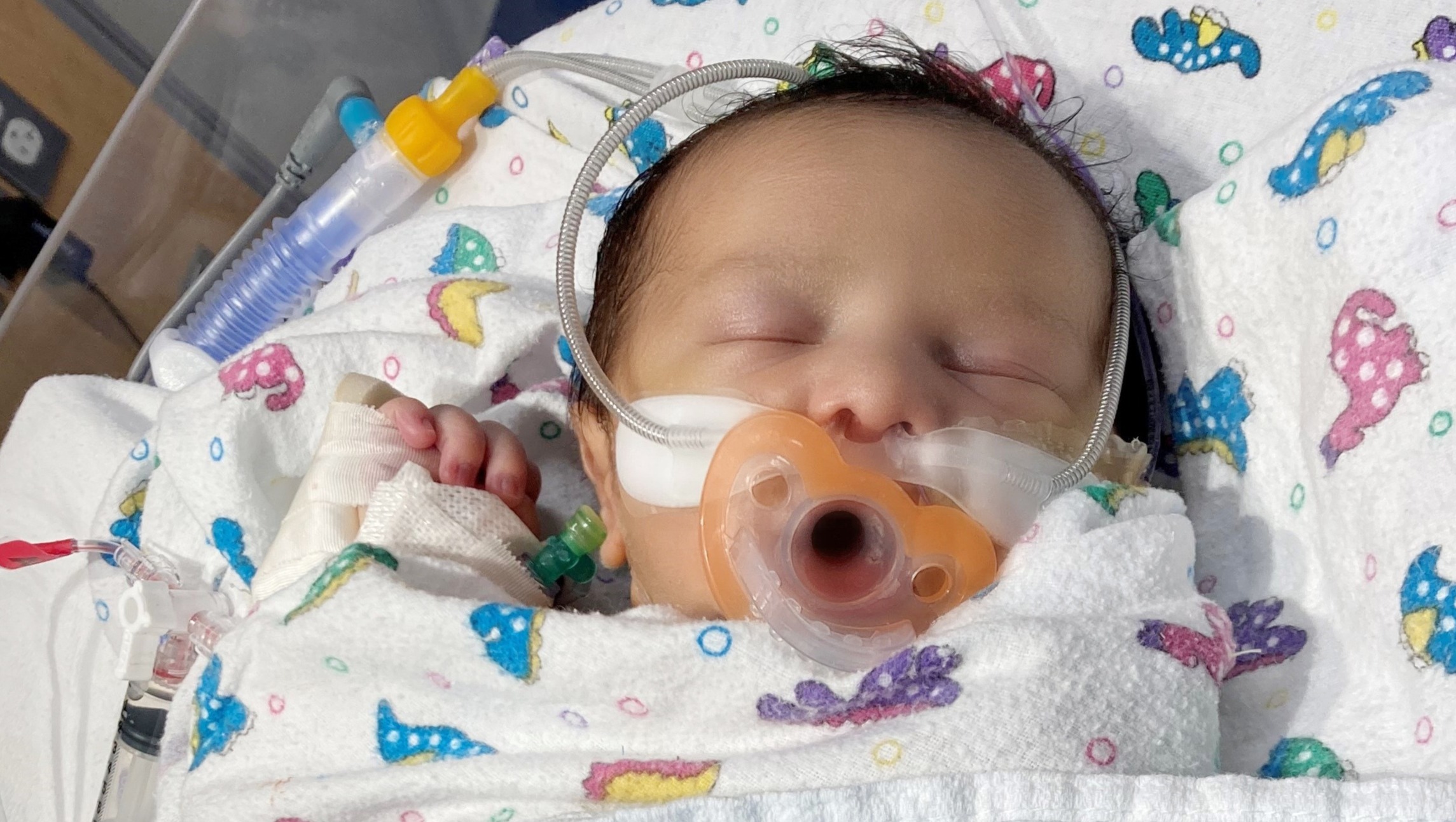 Fundraiser for Alexandra Escamilla by Alexa Lott : Luke Austin Coy HLHS ...