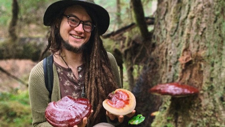 Fundraiser for David Fenton by Samantha Becker : Help fawn get a new ...