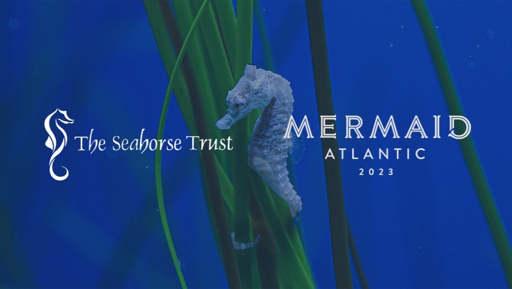Fundraiser by Mermaid Atlantic : Mermaid Atlantic - The Seahorse Trust