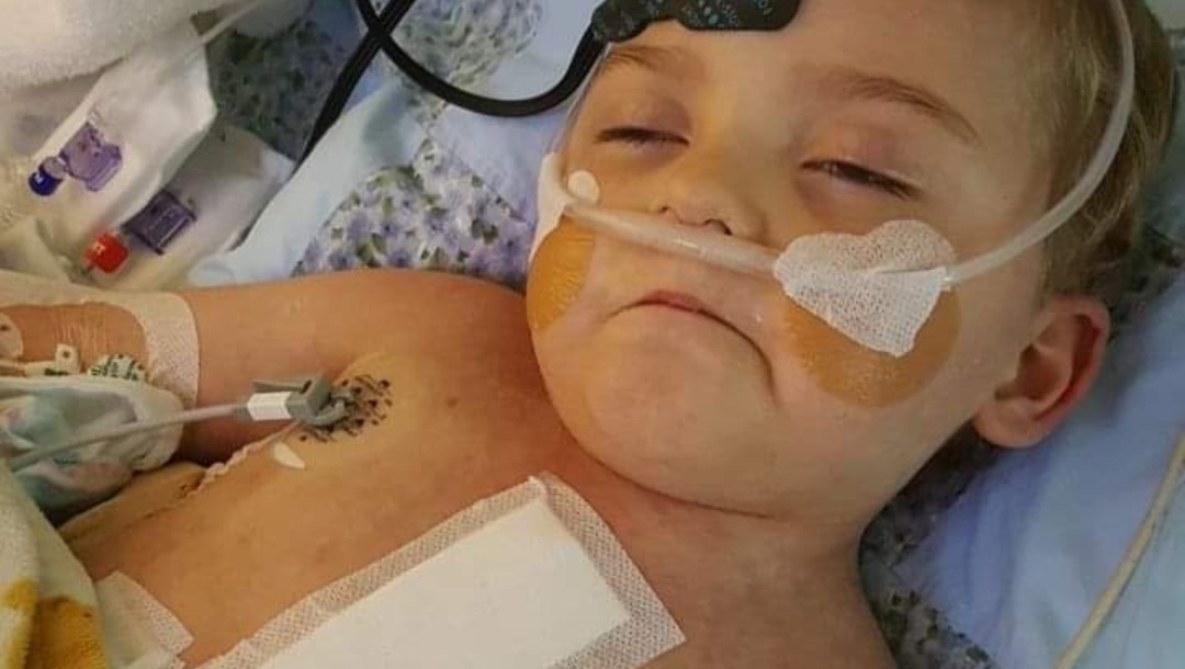 Fundraiser by Lauren Cupp : Wyatt's Big Heart needs a safe place to play