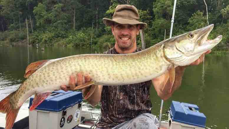 Fundraiser for Caprice Halverson by Joe Murillo : Dave Halverson ...