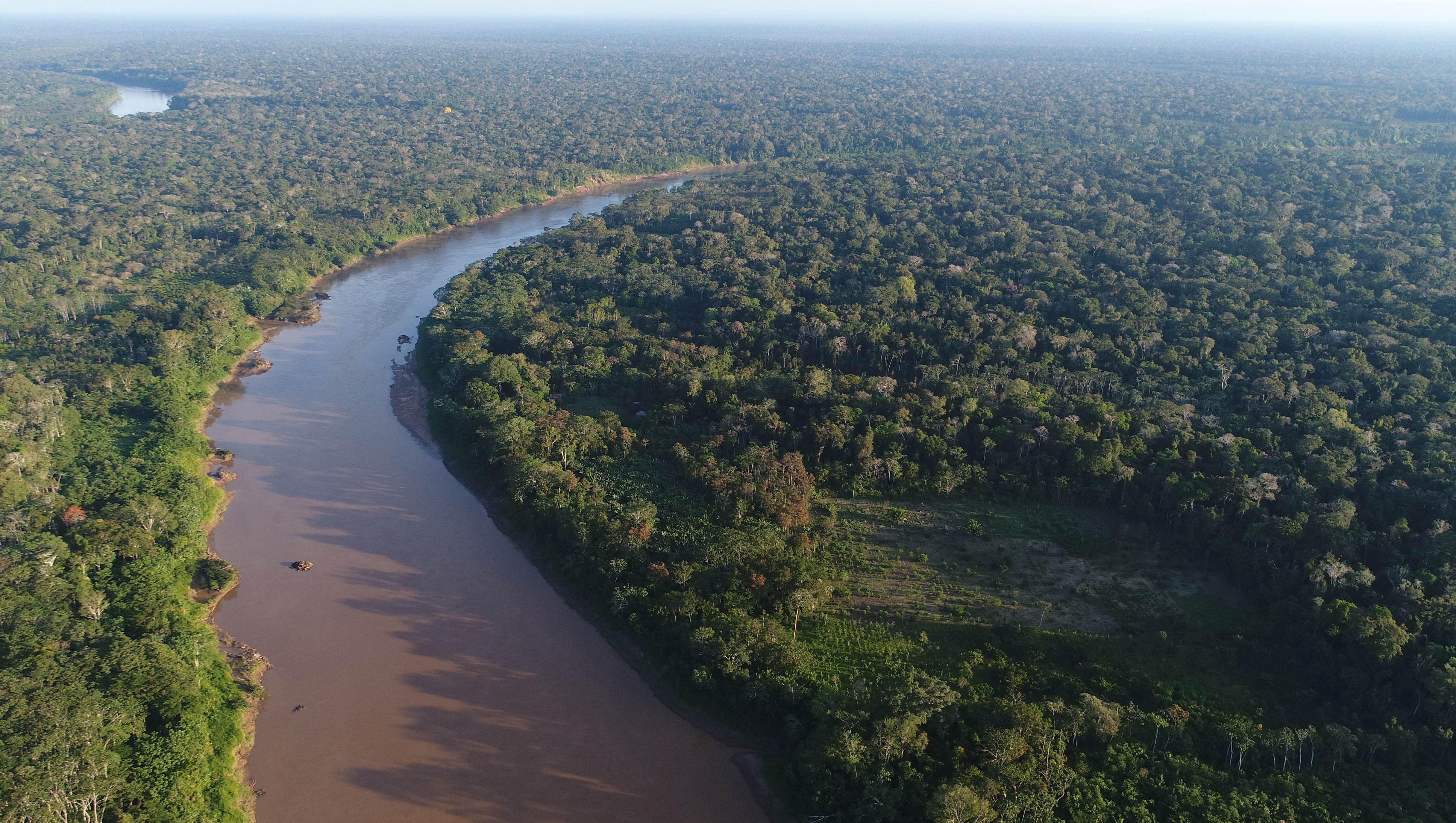 Fundraiser by Robin Van Loon : Regenerate 140 acres of Amazonian ...